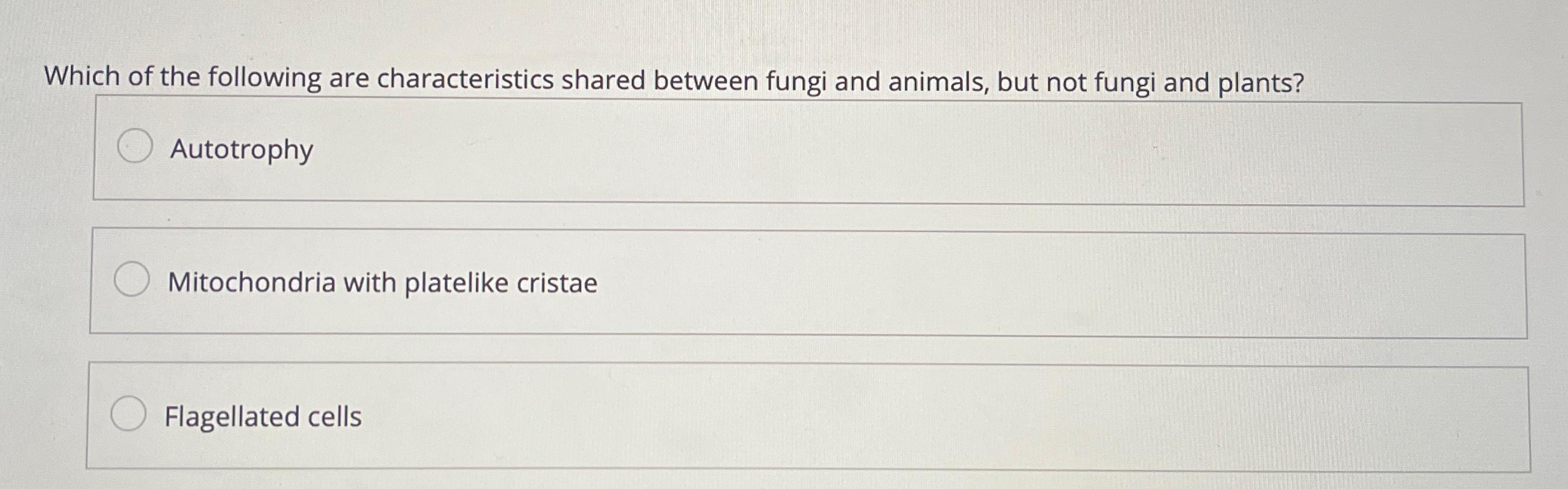 Solved Which of the following are characteristics shared | Chegg.com