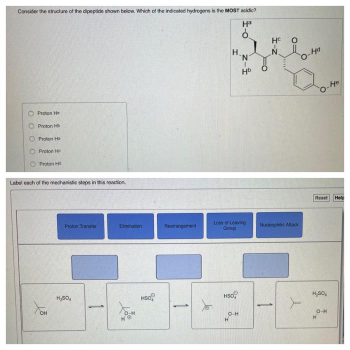 Solved Consider the structure of the dipeptide shown below. | Chegg.com