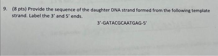 Solved (8 pts) Provide the sequence of the daughter DNA | Chegg.com