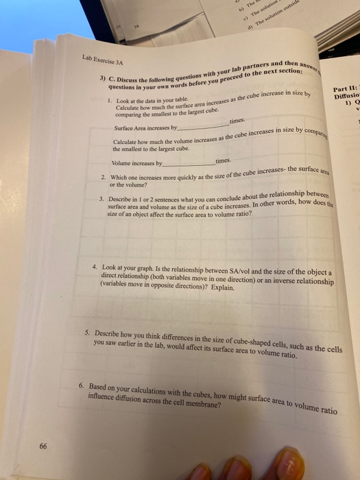 Solved The solution Thention outside cel Lab Exercise 3A | Chegg.com