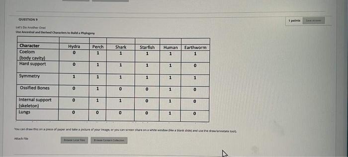 Solved It said Use Ancestral and Derived Characters to | Chegg.com