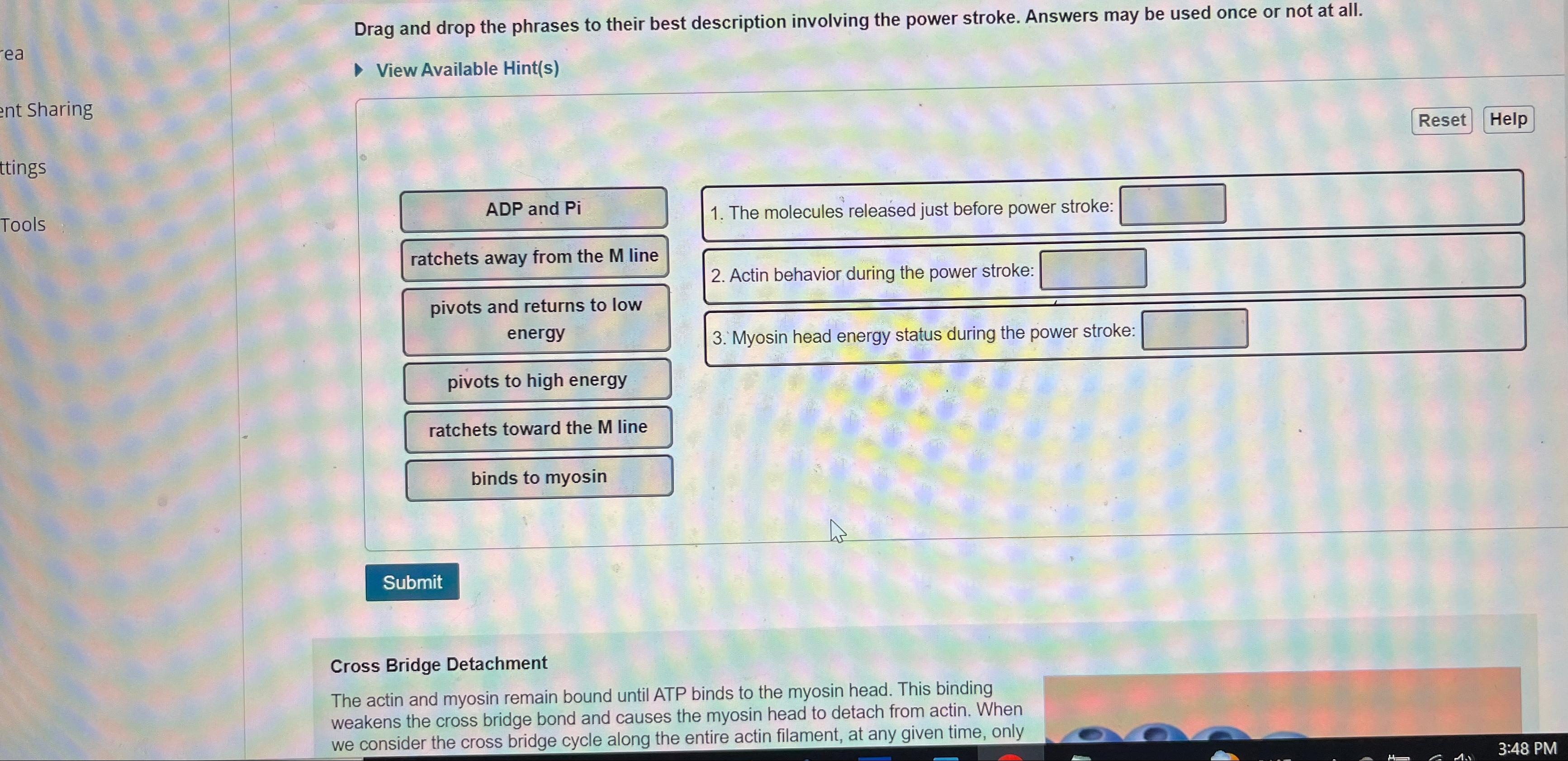 Solved Drag and drop the phrases to their best description | Chegg.com