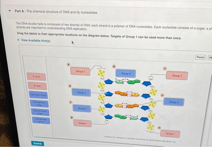 Solved Part A The Chemical Structure Of Dna And Its