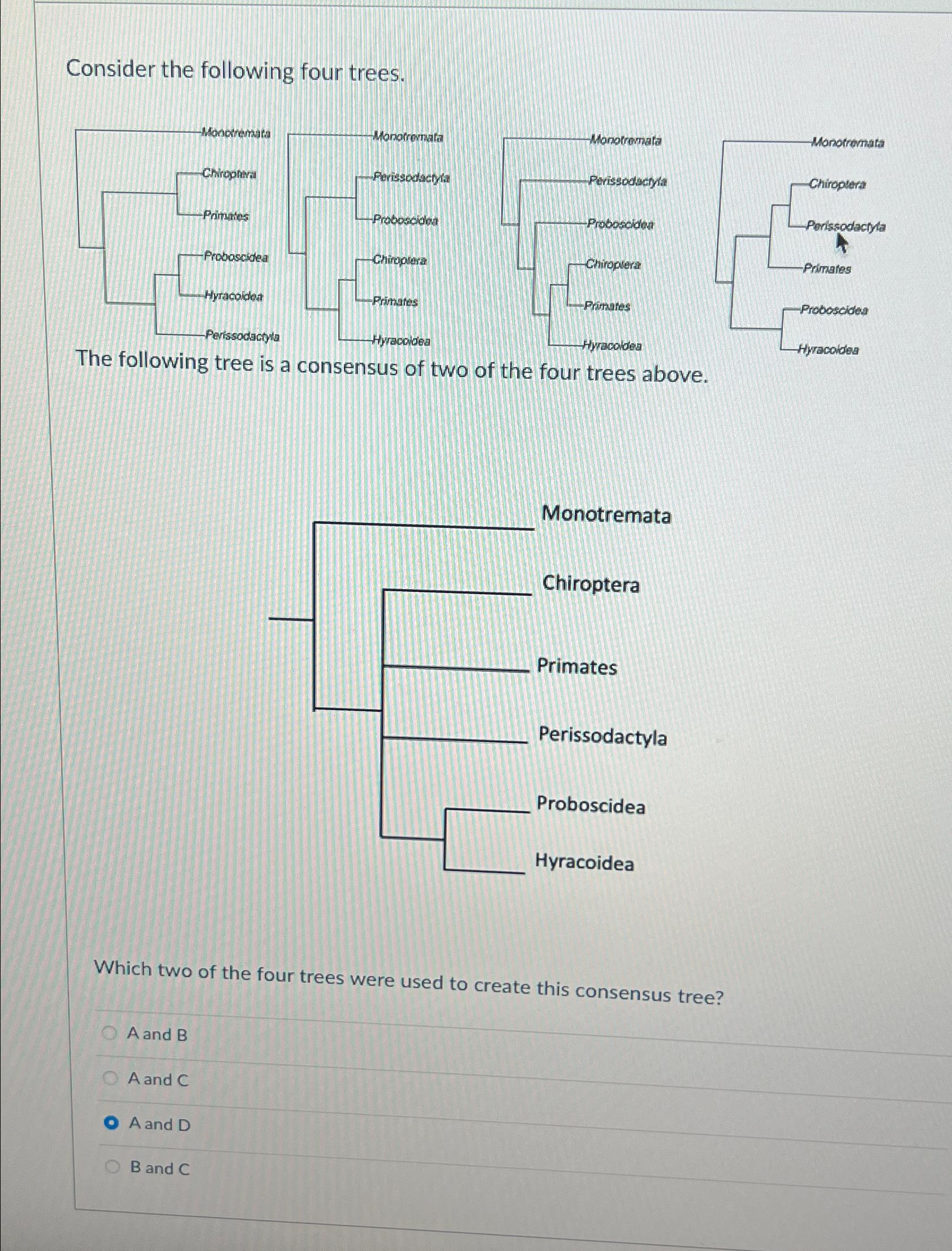 Solved Consider the following four trees.The following tree | Chegg.com