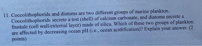 Solved 11. Coccolithophorids and diatoms are two different | Chegg.com