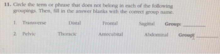 Solved 11. Circle the term or phrase that does not belong in | Chegg.com