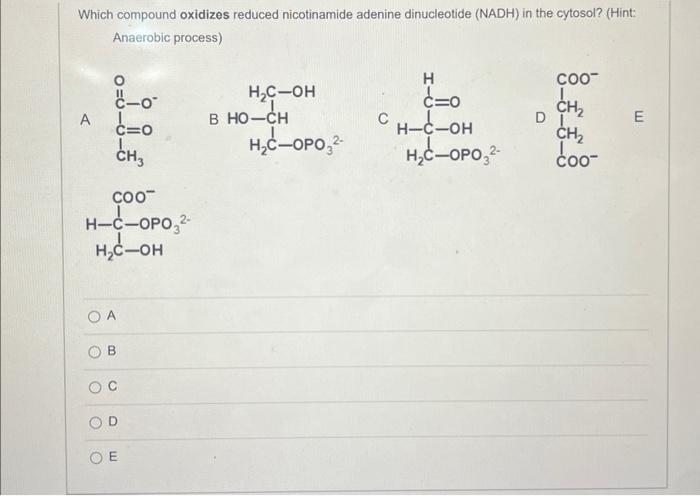 Solved Which compound oxidizes reduced nicotinamide adenine | Chegg.com