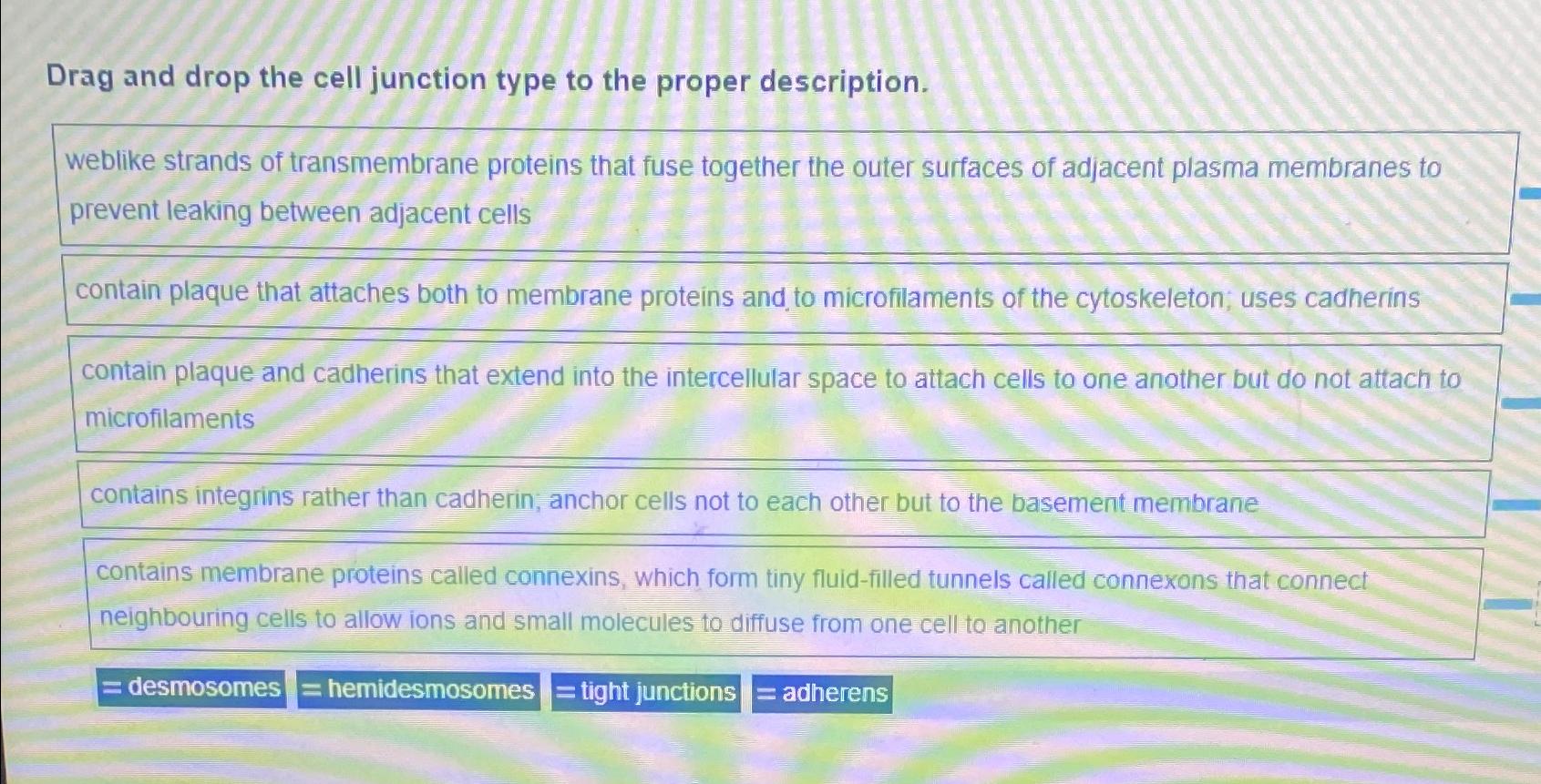 Solved Drag and drop the cell junction type to the proper | Chegg.com