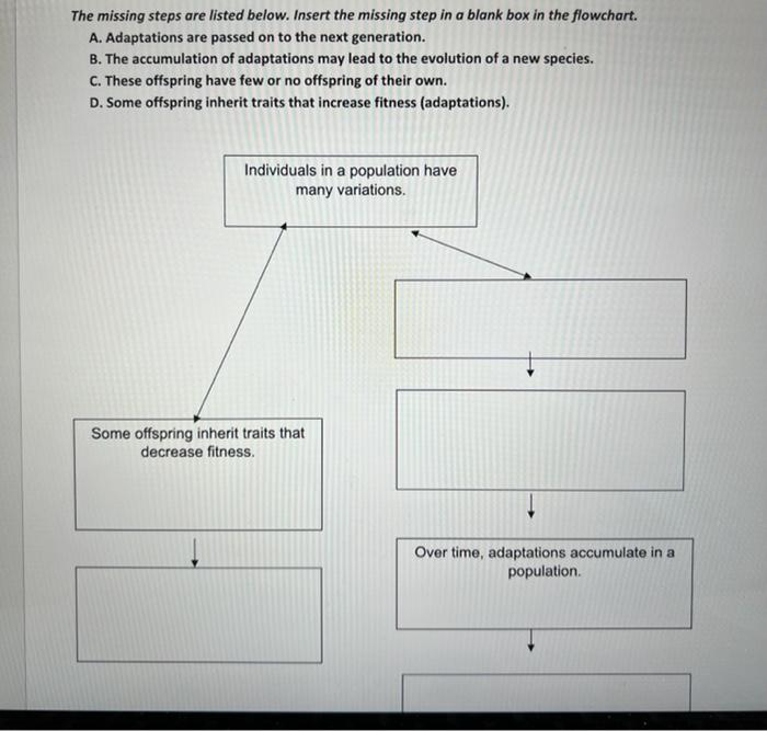 Solved The missing steps are listed below. Insert the | Chegg.com