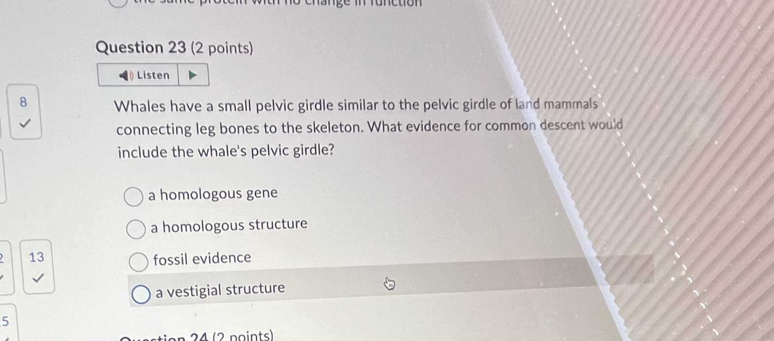 Solved Question 23 (2 ﻿points)Listen8Whales have a small | Chegg.com