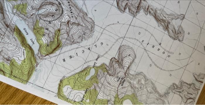 What do the linear stippled patterns on Norris | Chegg.com