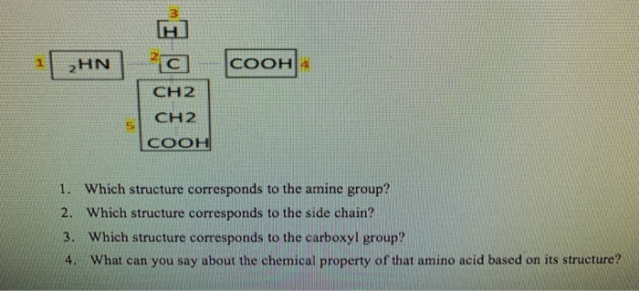 Solved * HN c COOH CH2 CH2 COOH 1. Which structure | Chegg.com