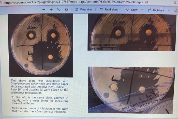 Solved Part A - Effectiveness of Disinfectants and | Chegg.com