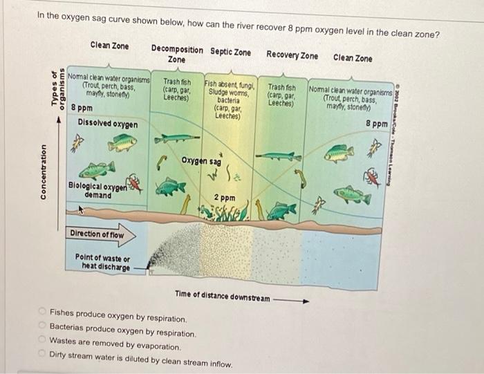 Solved In the oxygen sag curve shown below, how can the | Chegg.com