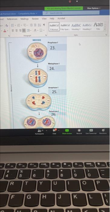 Solved what happens in each phase | Chegg.com