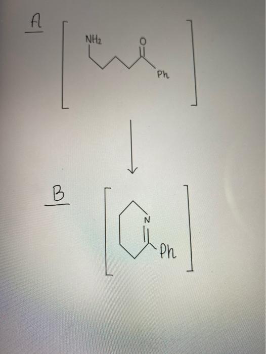 Solved А A NH2 el Ph B В [am -Ph | Chegg.com