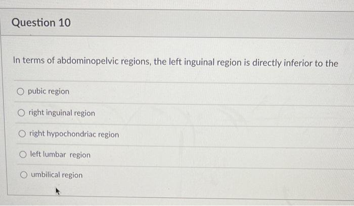 Solved In terms of abdominopelvic regions, the left inguinal | Chegg.com
