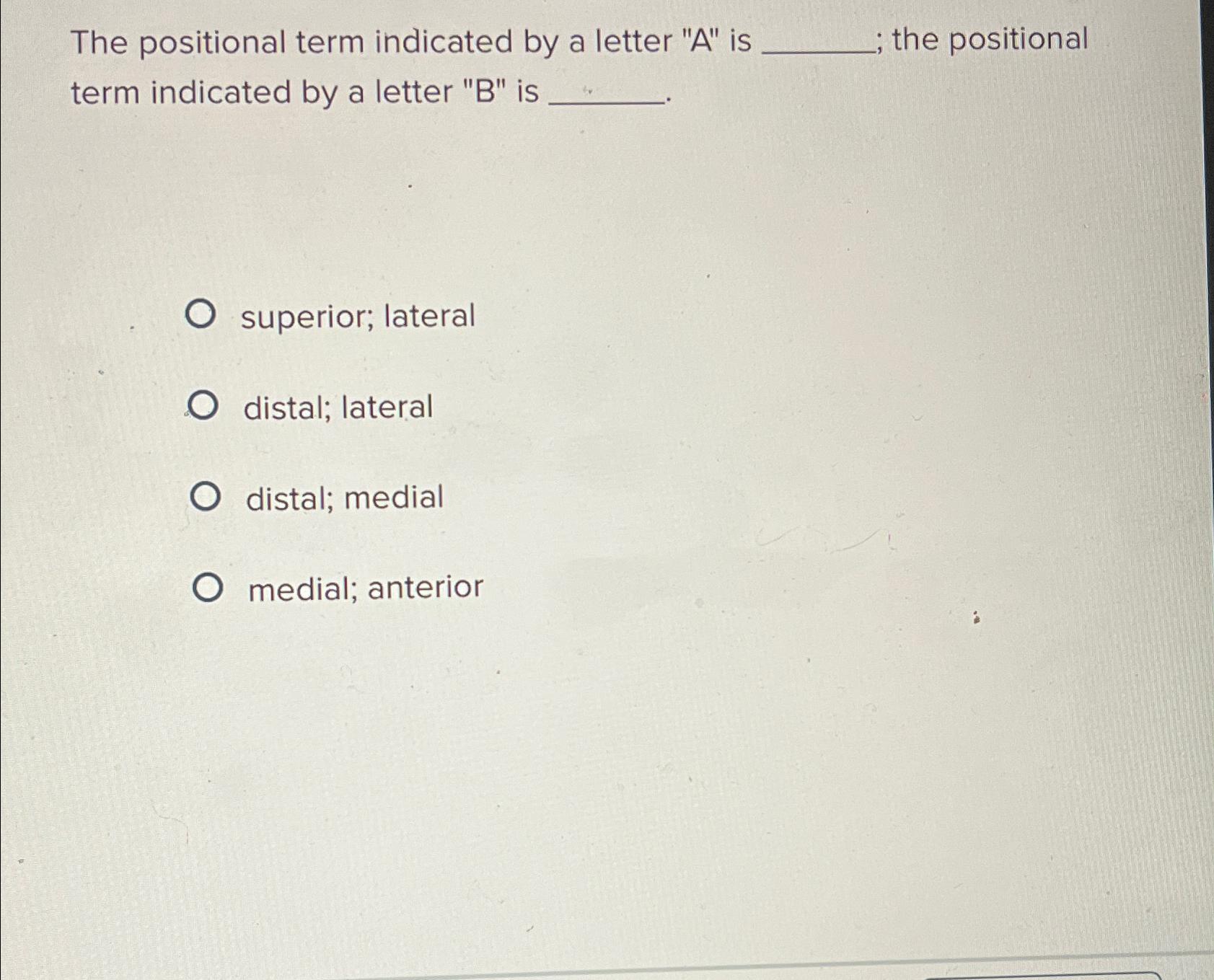 Solved The positional term indicated by a letter " A " ﻿is | Chegg.com