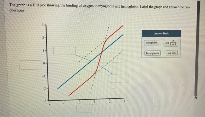 Solved The graph is a Hill plot showing the binding of | Chegg.com
