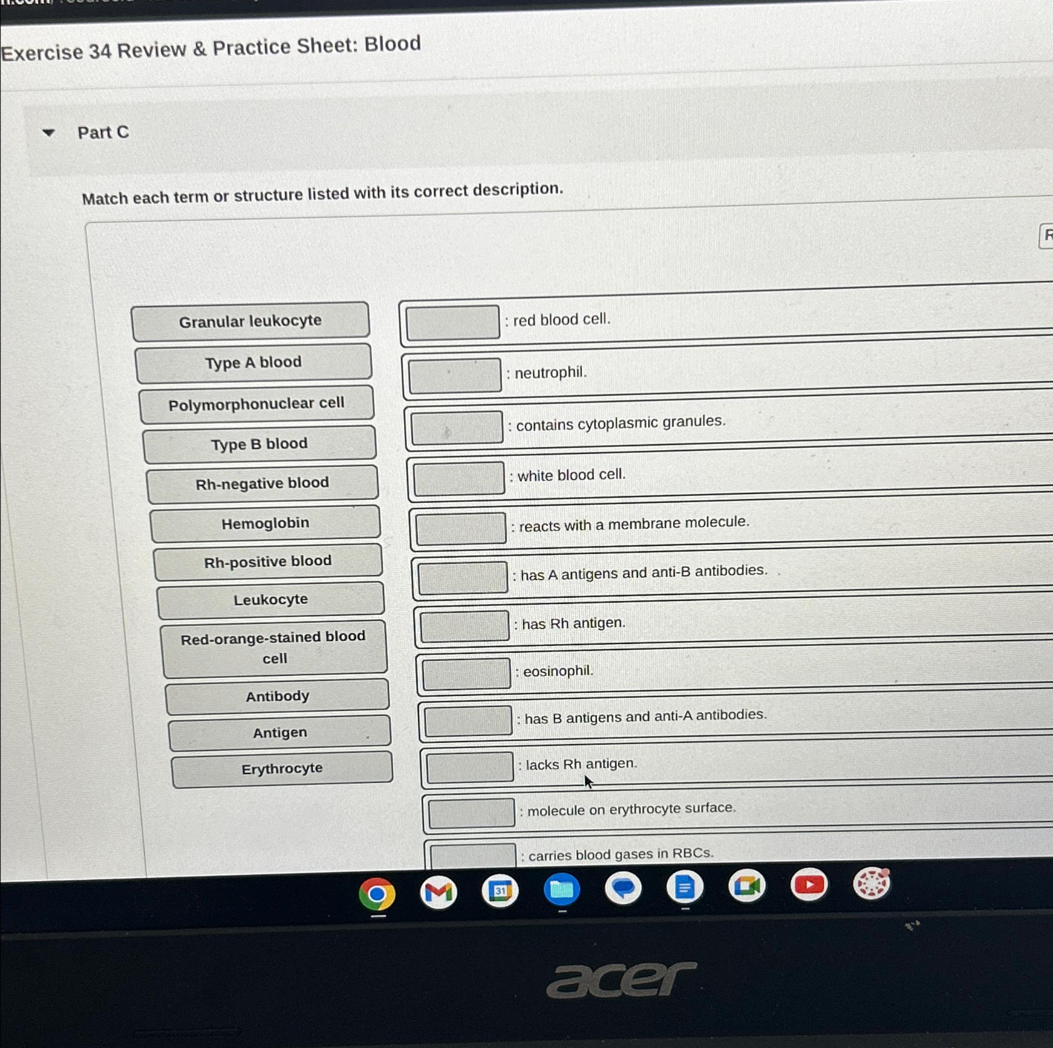 Solved Exercise 34 ﻿Review & Practice Sheet: BloodPart | Chegg.com