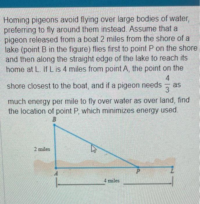 Solved Homing pigeons avoid flying over large bodies of | Chegg.com