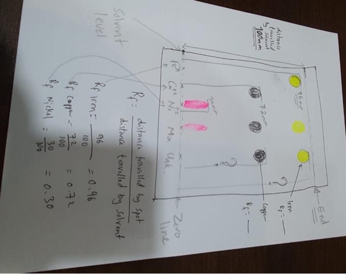 Solved Paper Chromatography DATA Calculate , values for each | Chegg.com
