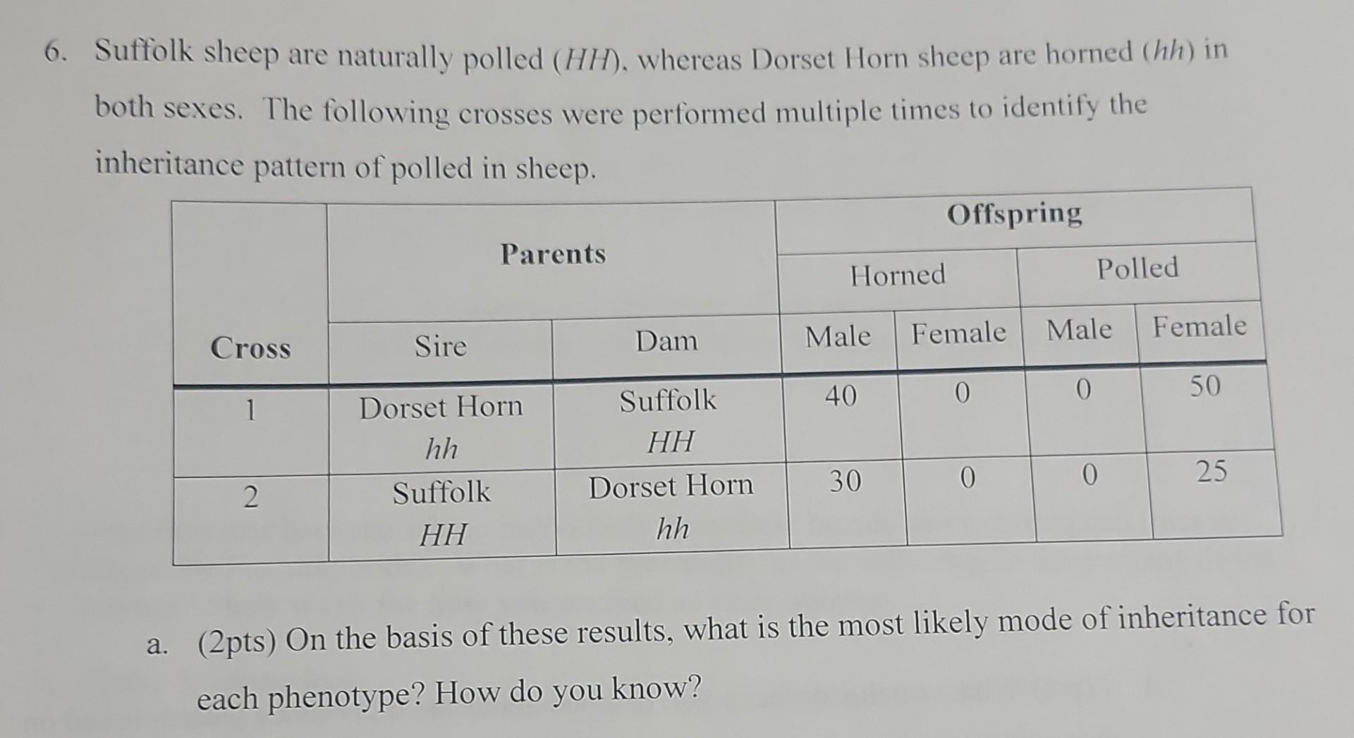 Solved 6. Suffolk sheep are naturally polled (HH), whereas | Chegg.com