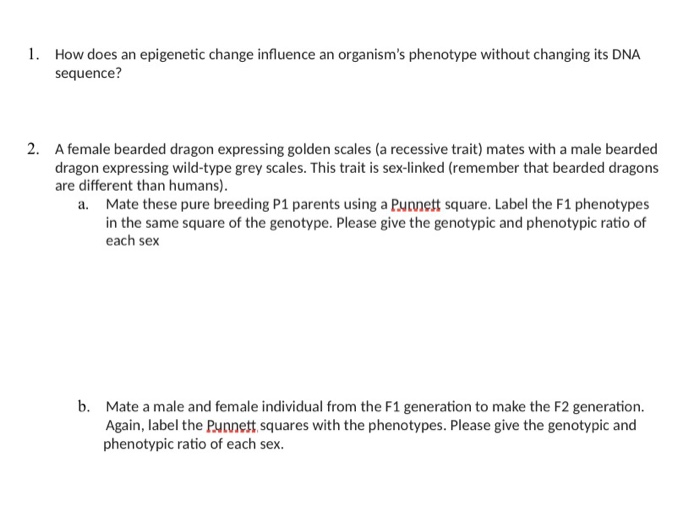 Solved 1. How does an epigenetic change influence an | Chegg.com