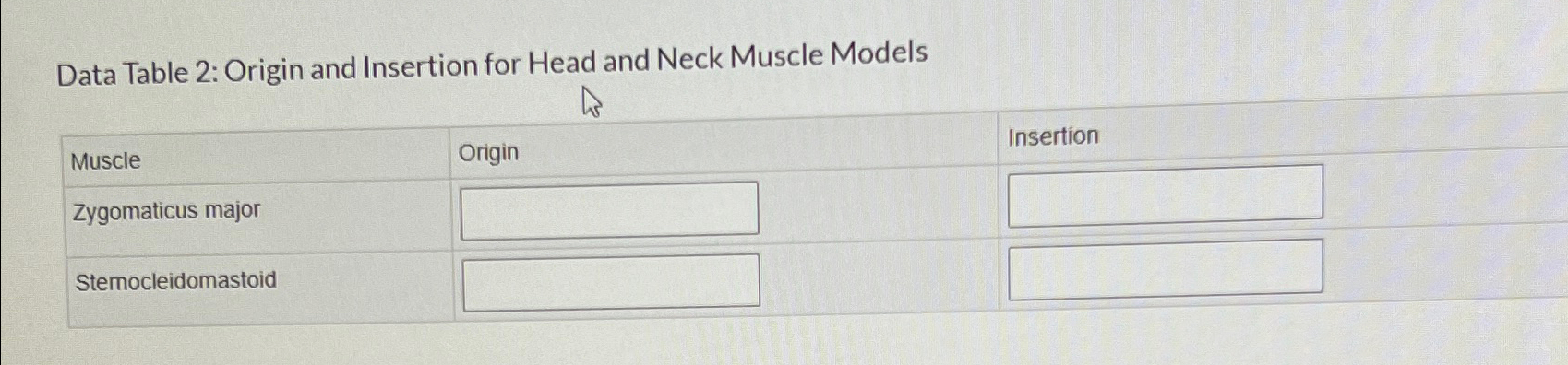 Solved Data Table 2: Origin and Insertion for Head and Neck | Chegg.com