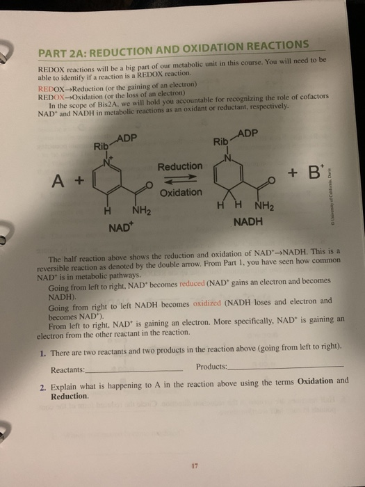 Solved PART 2A: REDUCTION AND OXIDATION REACTIONS REDOX | Chegg.com