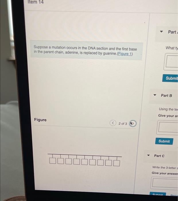 Suppose a mutation occurs in the DNA section and the | Chegg.com