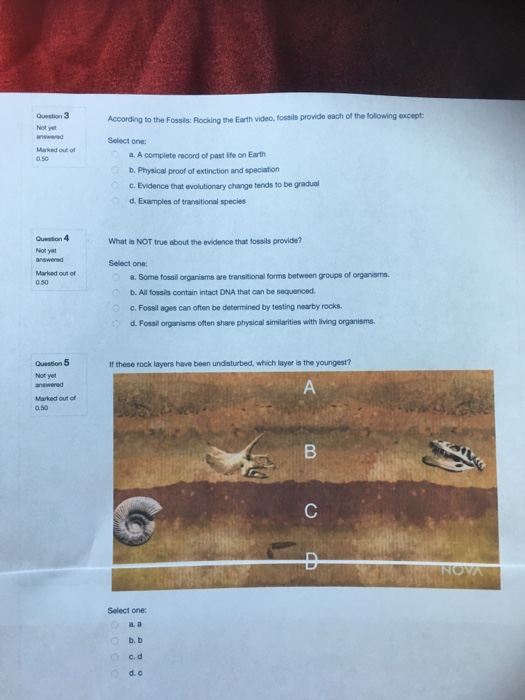 Solved A B C - branch tips trait 4 trait 5 trait 2 trait 3 | Chegg.com