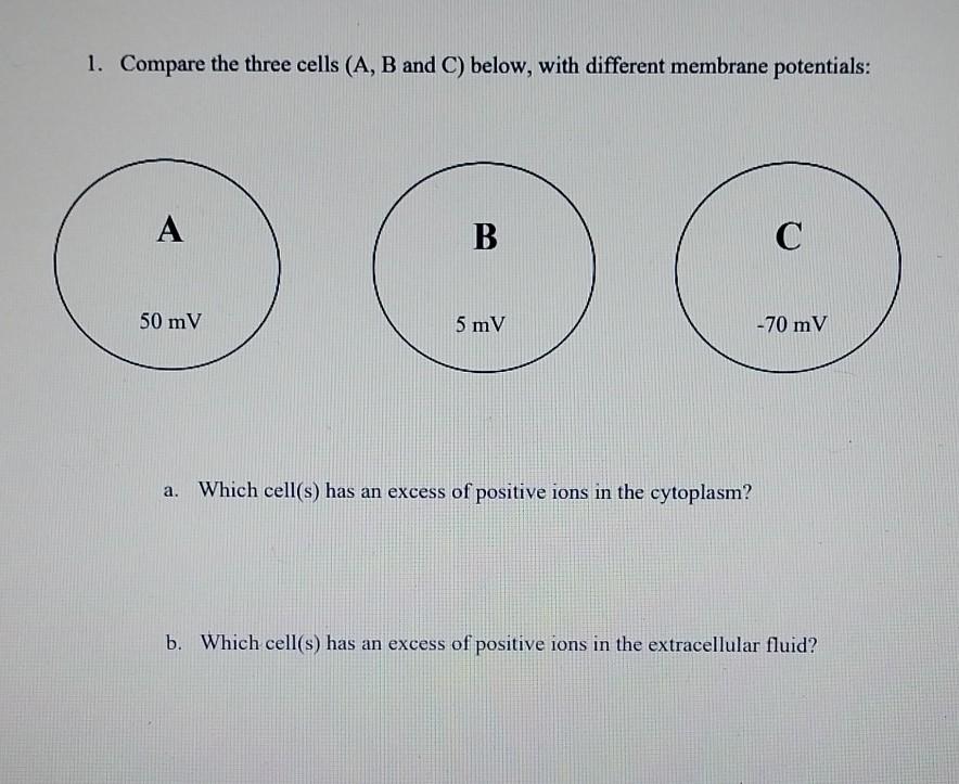 Solved 1. Compare the three cells (A,B and C) below, with | Chegg.com