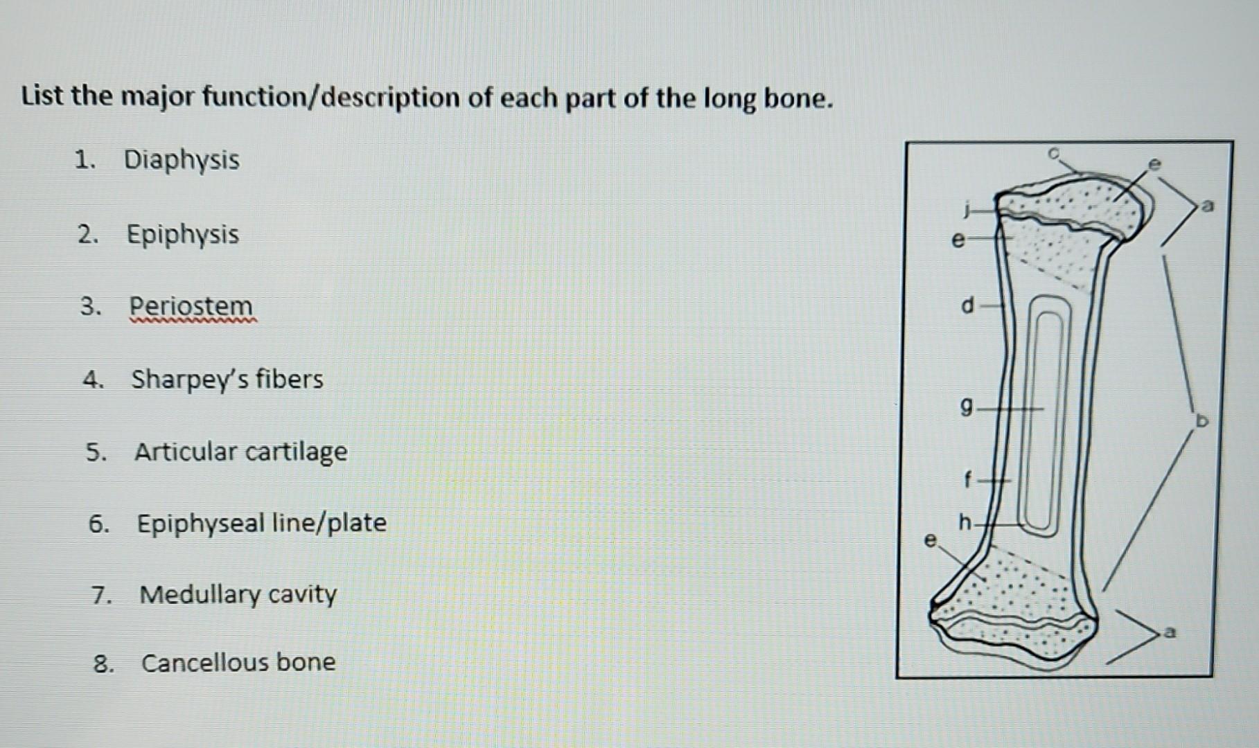 Solved List the major function/description of each part of | Chegg.com