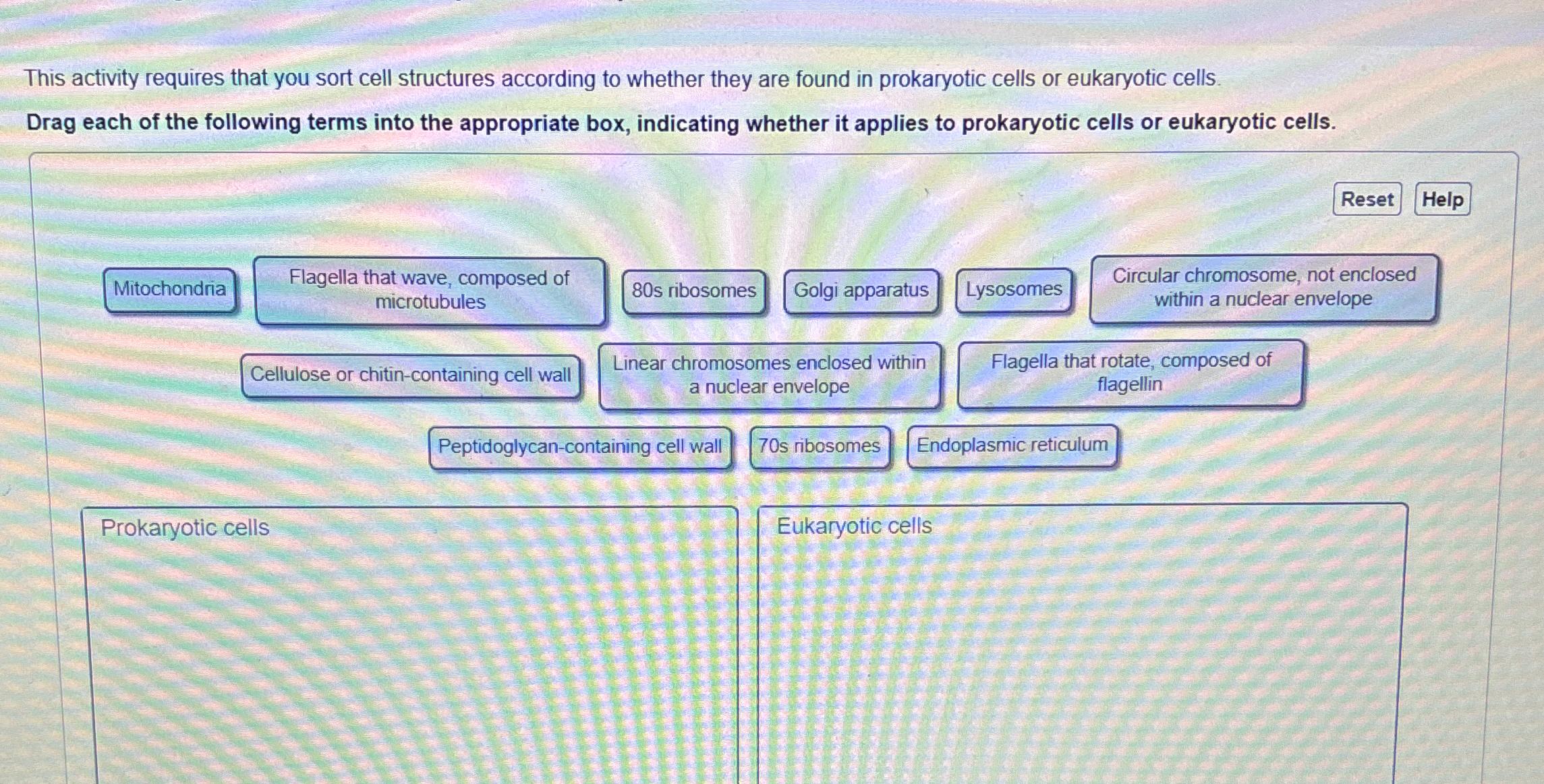 Solved This activity requires that you sort cell structures | Chegg.com