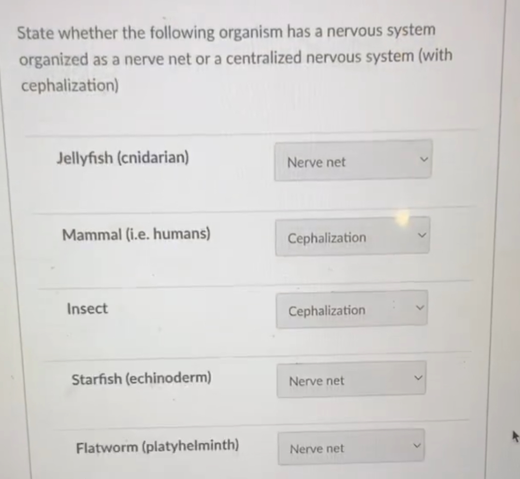 Solved State whether the following organism has a nervous | Chegg.com
