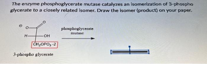 Solved Draw the amino acid below at a pH of 7Draw one of the | Chegg.com