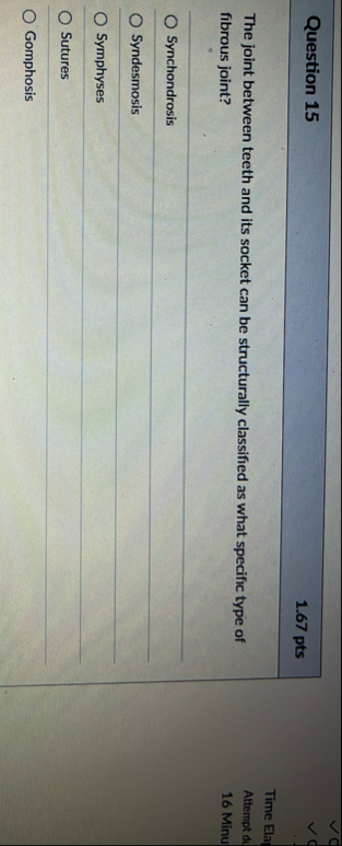 Question 151.67 ﻿ptsThe joint between teeth and its | Chegg.com