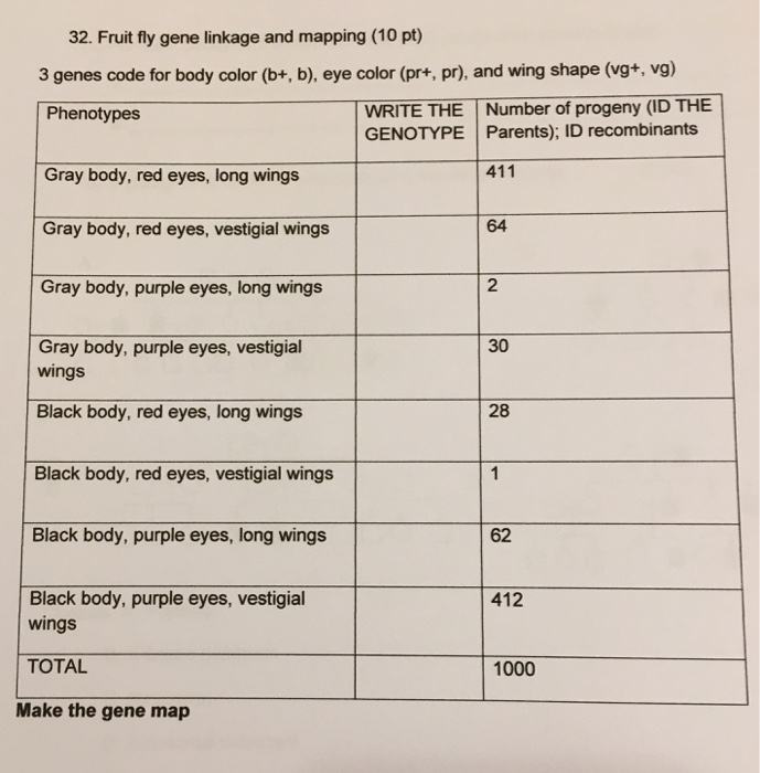 Solved 32. Fruit fly gene linkage and mapping (10 pt) 3 | Chegg.com