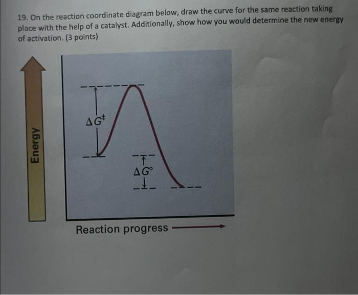 Solved 19. On the reaction coordinate diagram below, draw | Chegg.com