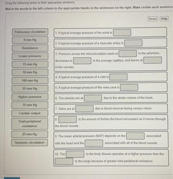 Solved Drag the following terms to their appropiate | Chegg.com