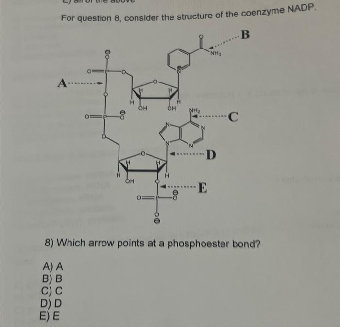 Solved For question 8 , consider the structure of the | Chegg.com