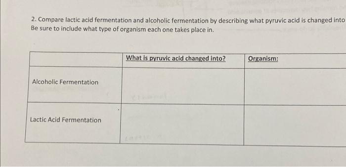 Solved 2 Compare Lactic Acid Fermentation And Alcoholic Chegg