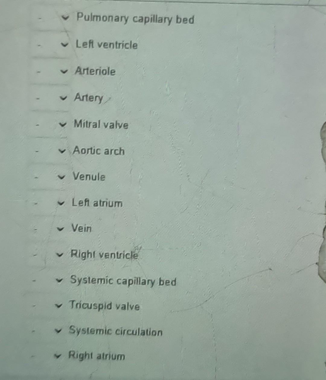 Solved From the list order the flow of de-oxygenated blood | Chegg.com
