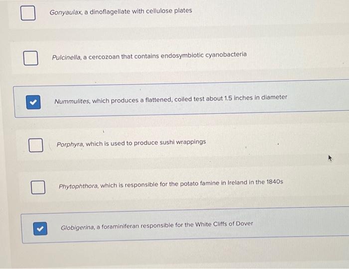 Solved Rhizarians Select all of the following that are | Chegg.com