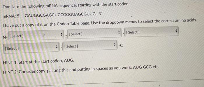 Solved Translate the following mRNA sequence, starting with | Chegg.com