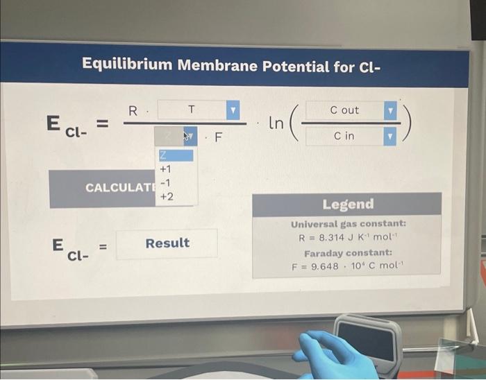 Solved Equilibrium Membrane Potential for Cl- E cl- E R. | Chegg.com