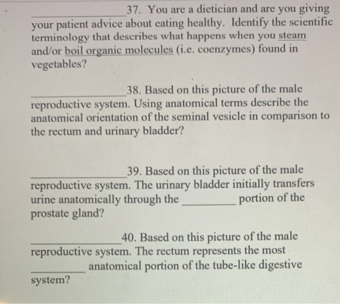 Solved 37 You Are A Dietician And Are You Giving Your Chegg solved-37-you-are-a-dietician-and-are-you-giving-your-chegg