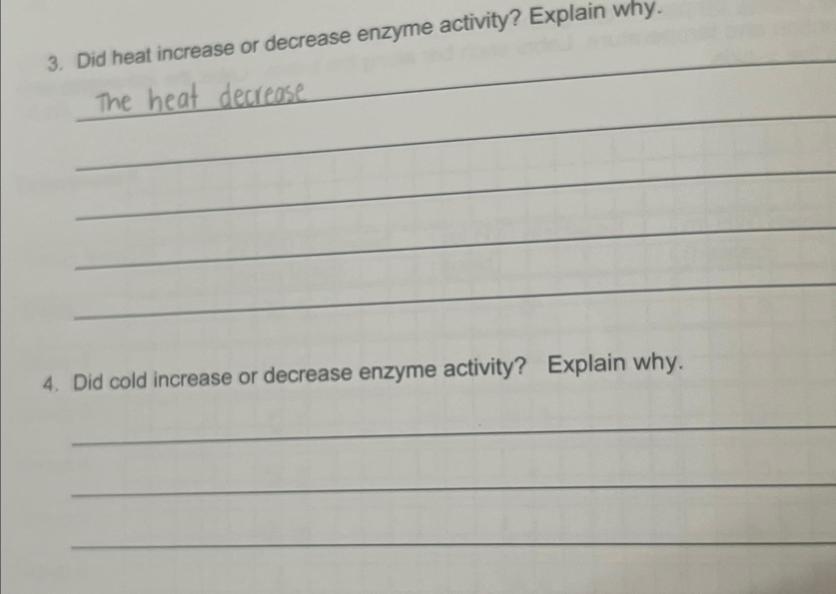 Solved Did heat increase or decrease enzyme activity? | Chegg.com