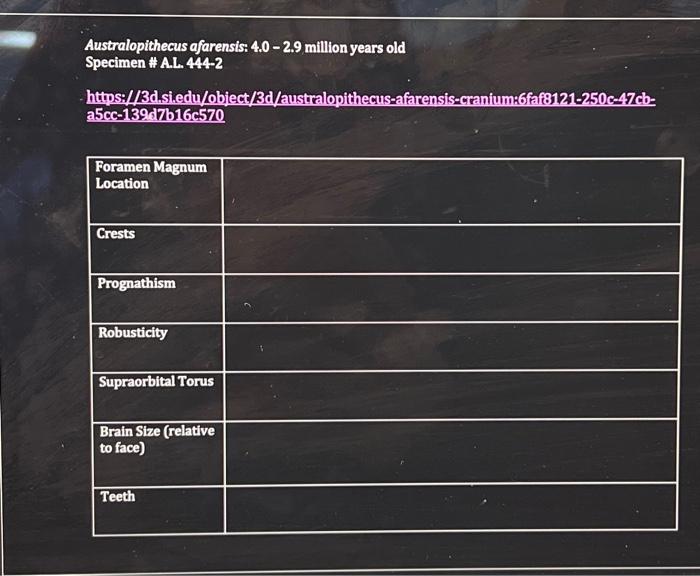 Australopithecus afarensis: 4.0−2.9 million years old | Chegg.com